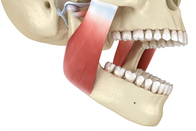 TMJ Treatment | Olney Center for Oral & Maxillofacial Surgery